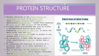 protein modeling.pptx