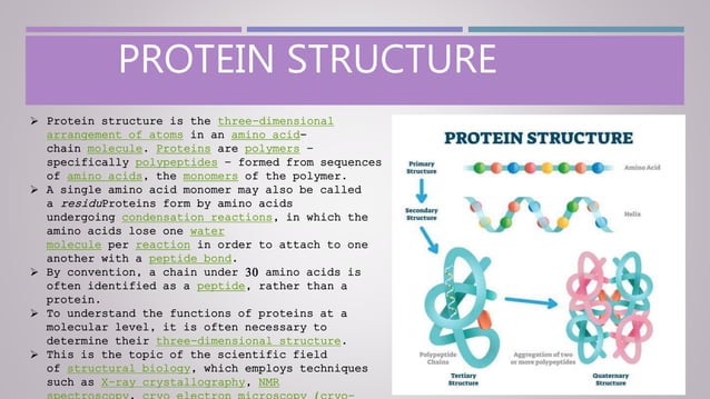protein modeling.pptx