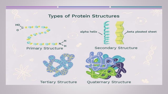 protein modeling.pptx