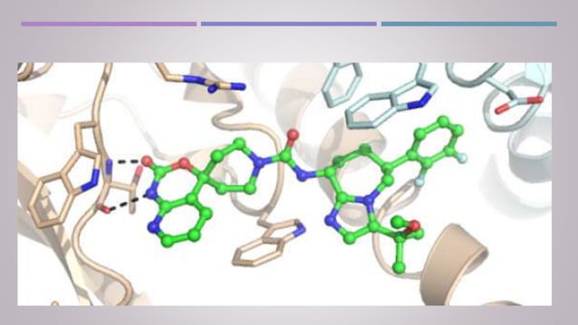 protein modeling.pptx