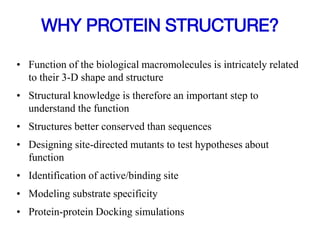 protein Modeling Abi.pptx