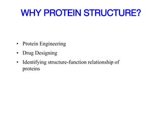 protein Modeling Abi.pptx