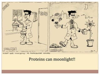 Protein moonlighting | PPTX