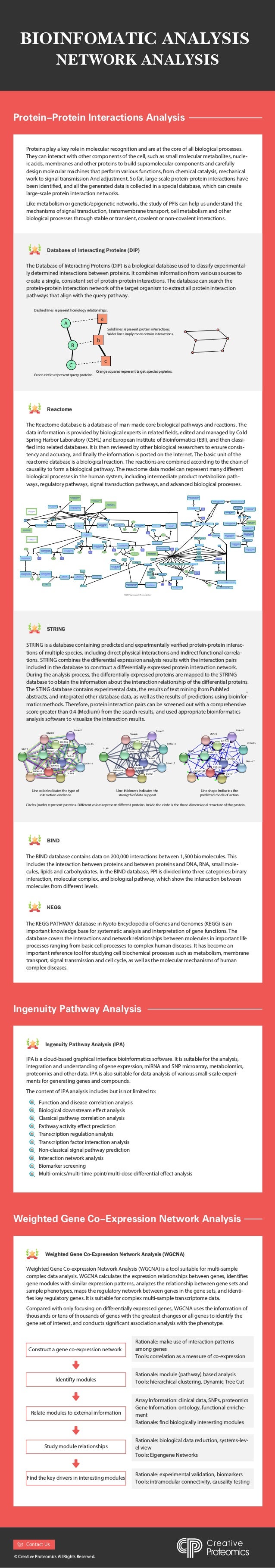 Protein Network Analysis | PDF