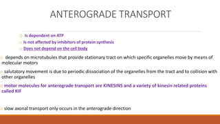 BASIC BIOLOGY OF NERVES, PROTEINS PHYSIOLOGY | PPT