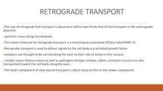 BASIC BIOLOGY OF NERVES, PROTEINS PHYSIOLOGY | PPT