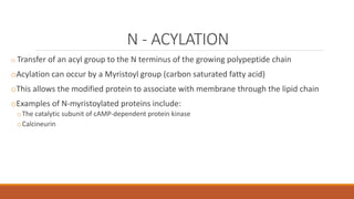 BASIC BIOLOGY OF NERVES, PROTEINS PHYSIOLOGY | PPT