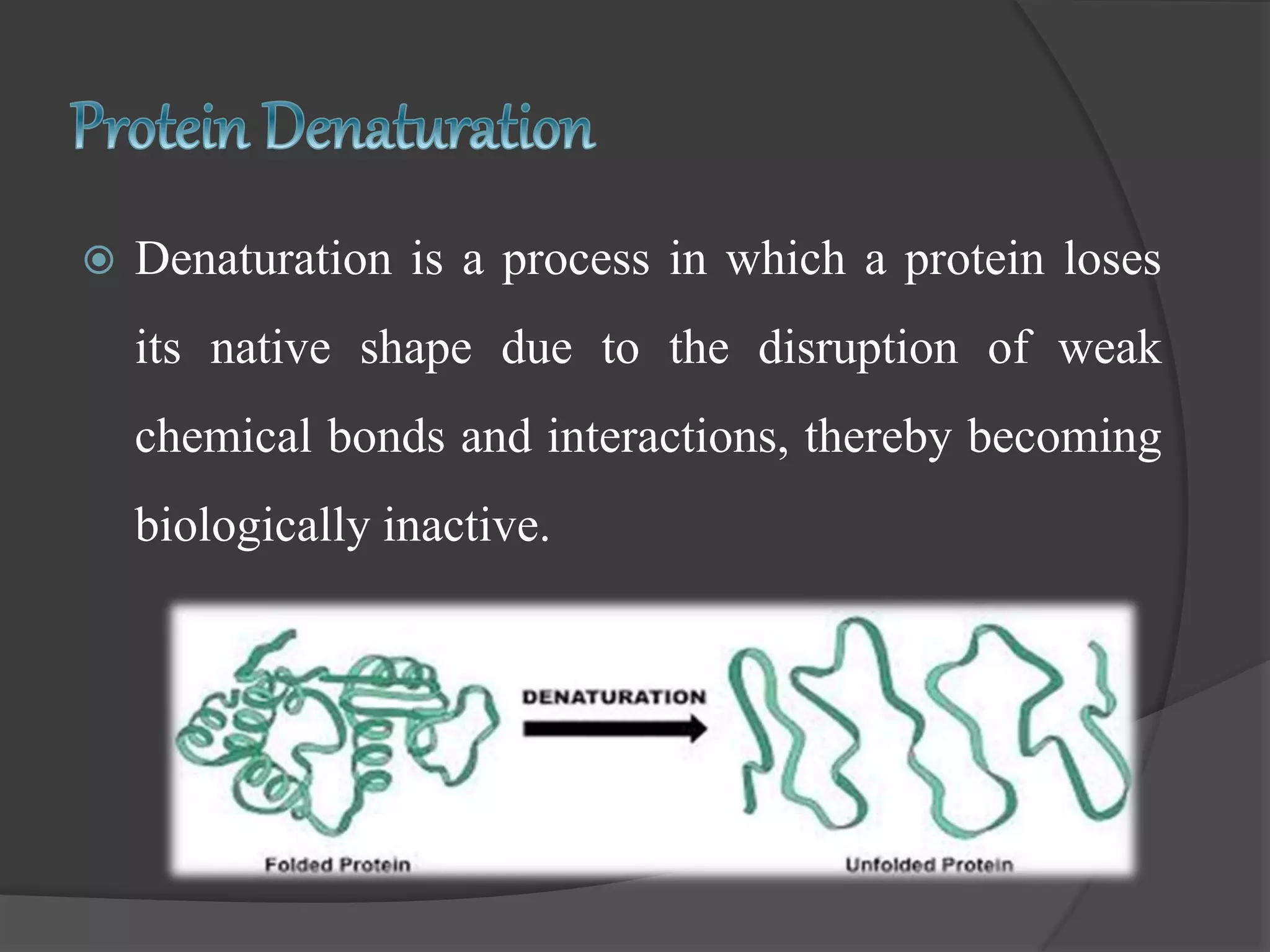 Proteins folding and denaturation | PPTX