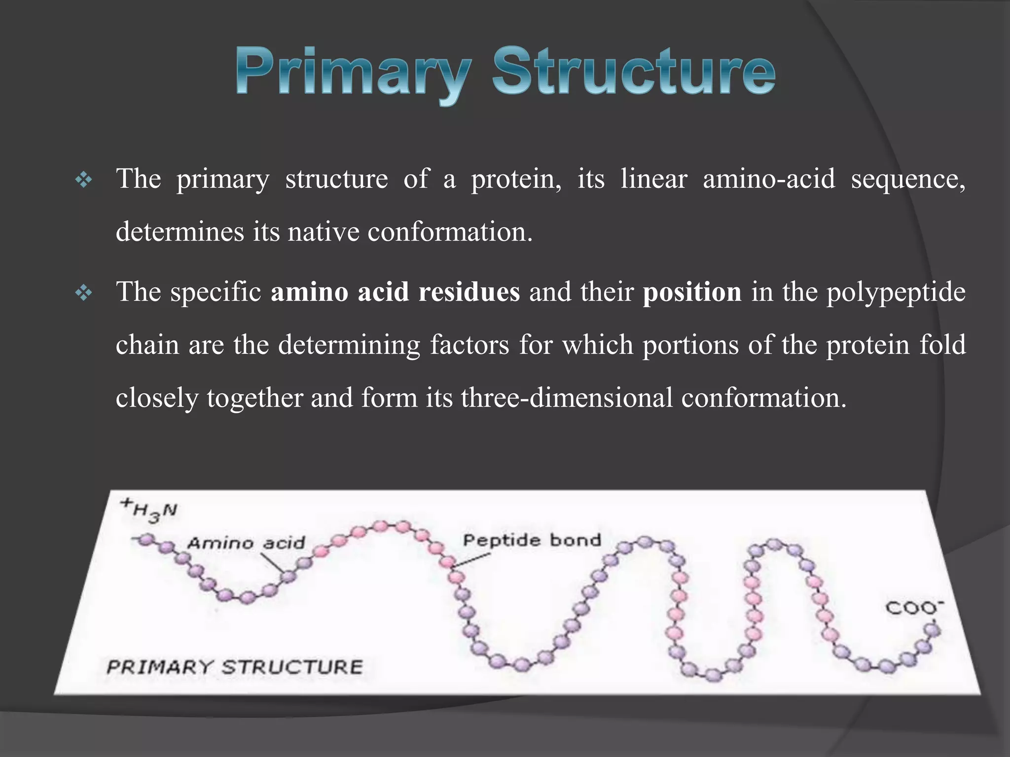 Proteins folding and denaturation | PPTX