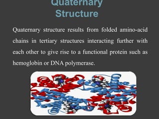 Proteins folding and denaturation | PPTX
