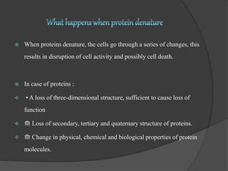 Proteins folding and denaturation | PPTX