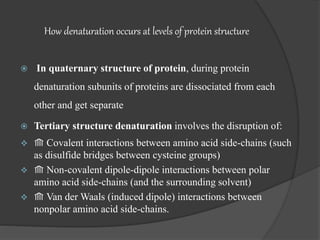 Proteins folding and denaturation | PPTX