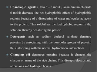 Proteins folding and denaturation | PPTX