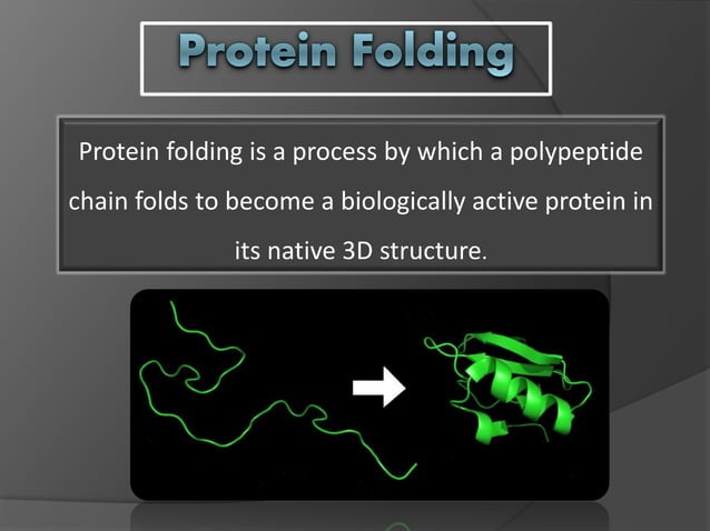 Proteins folding and denaturation | PPTX