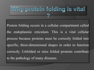 Proteins folding and denaturation | PPTX