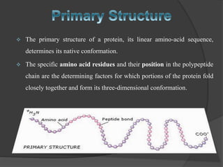 Proteins folding and denaturation | PPTX
