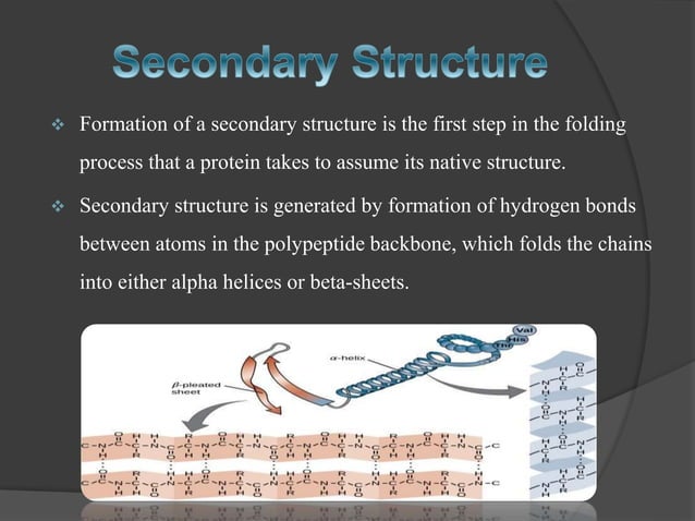 Proteins folding and denaturation | PPTX