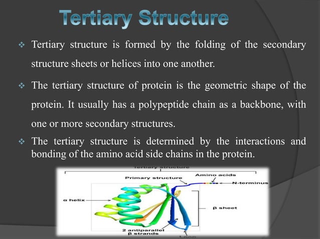 Proteins folding and denaturation | PPTX