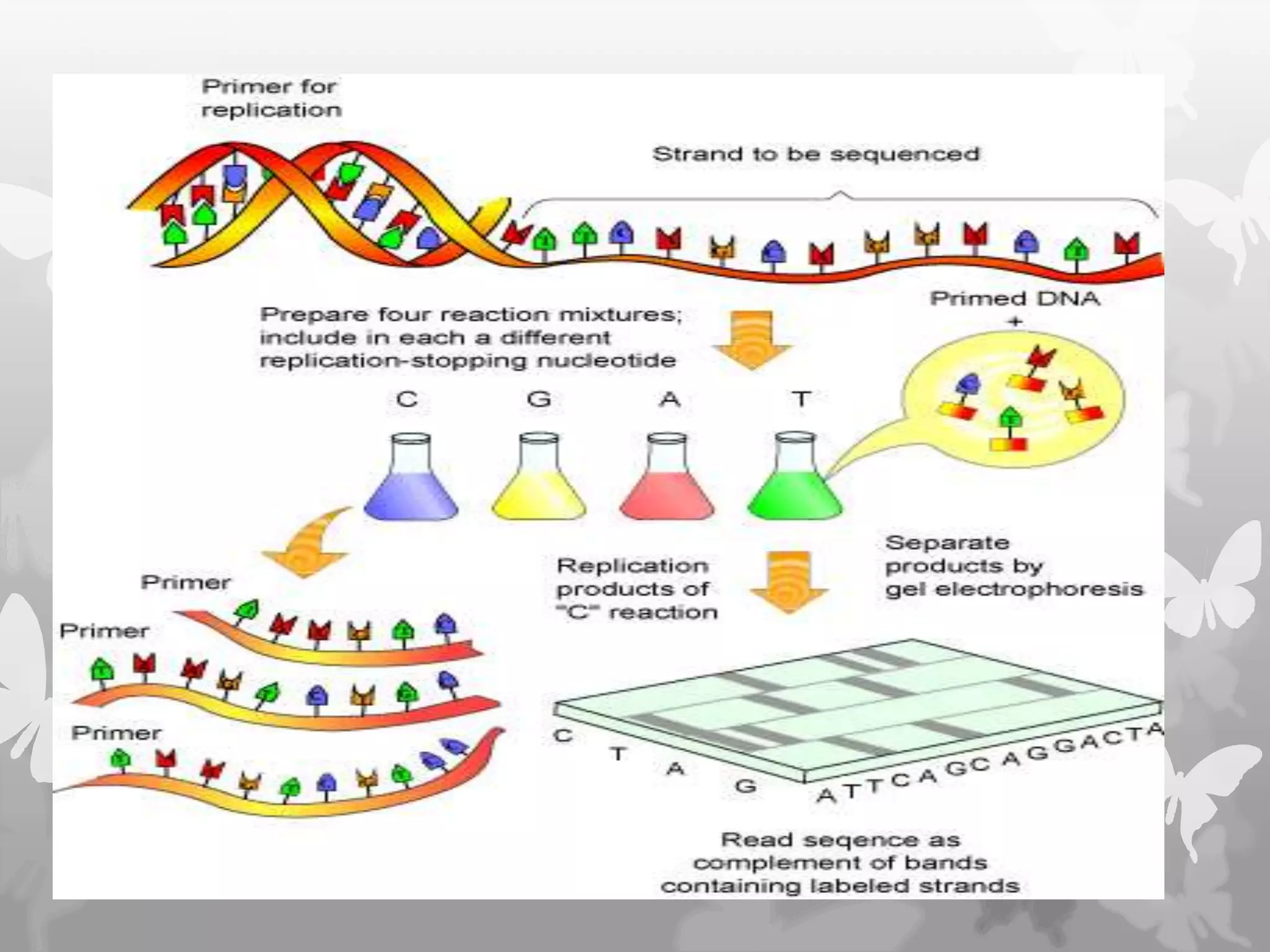 Protein and nucleic acid sequencing | PPT