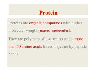 Protein Nutrition.pptx