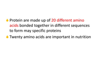 Protein Nutrition.pptx