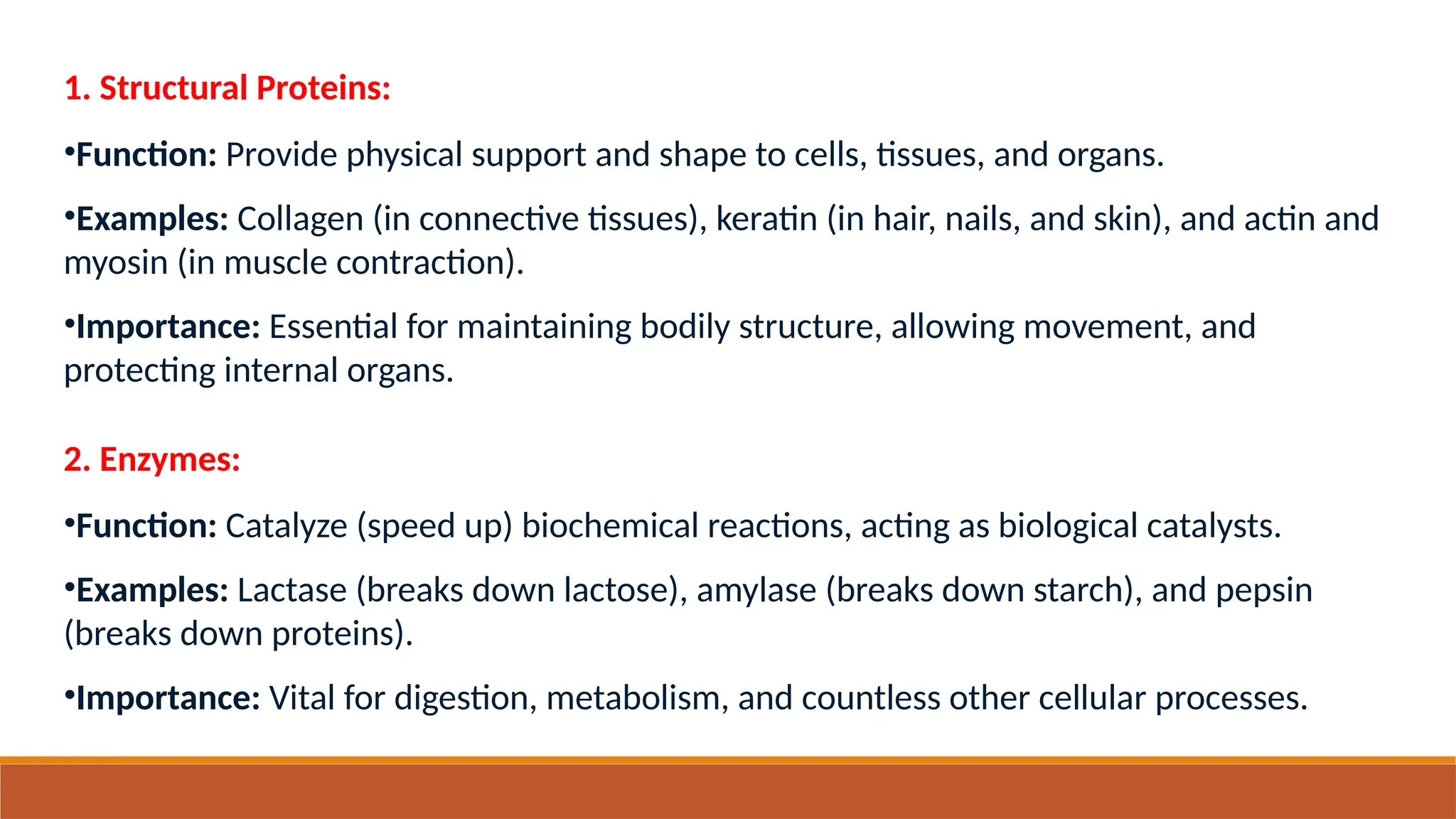 basic understanding about protein structure and classification | PPTX