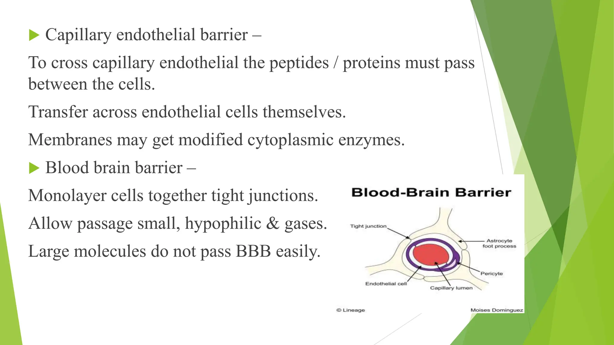 PROTEIN & PEPTIDE DELIVERY SYSTEM FORMULATION | PPTX