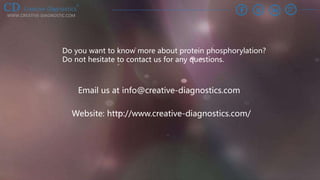 Protein phosphorylation-Creative Diagnostics | PPT