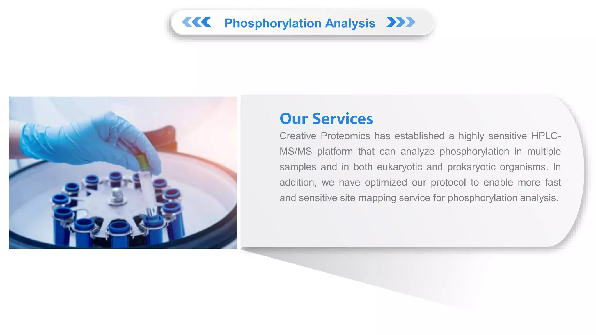 Protein Phosphorylation Analysis by Mass Spectrometry | PPTX