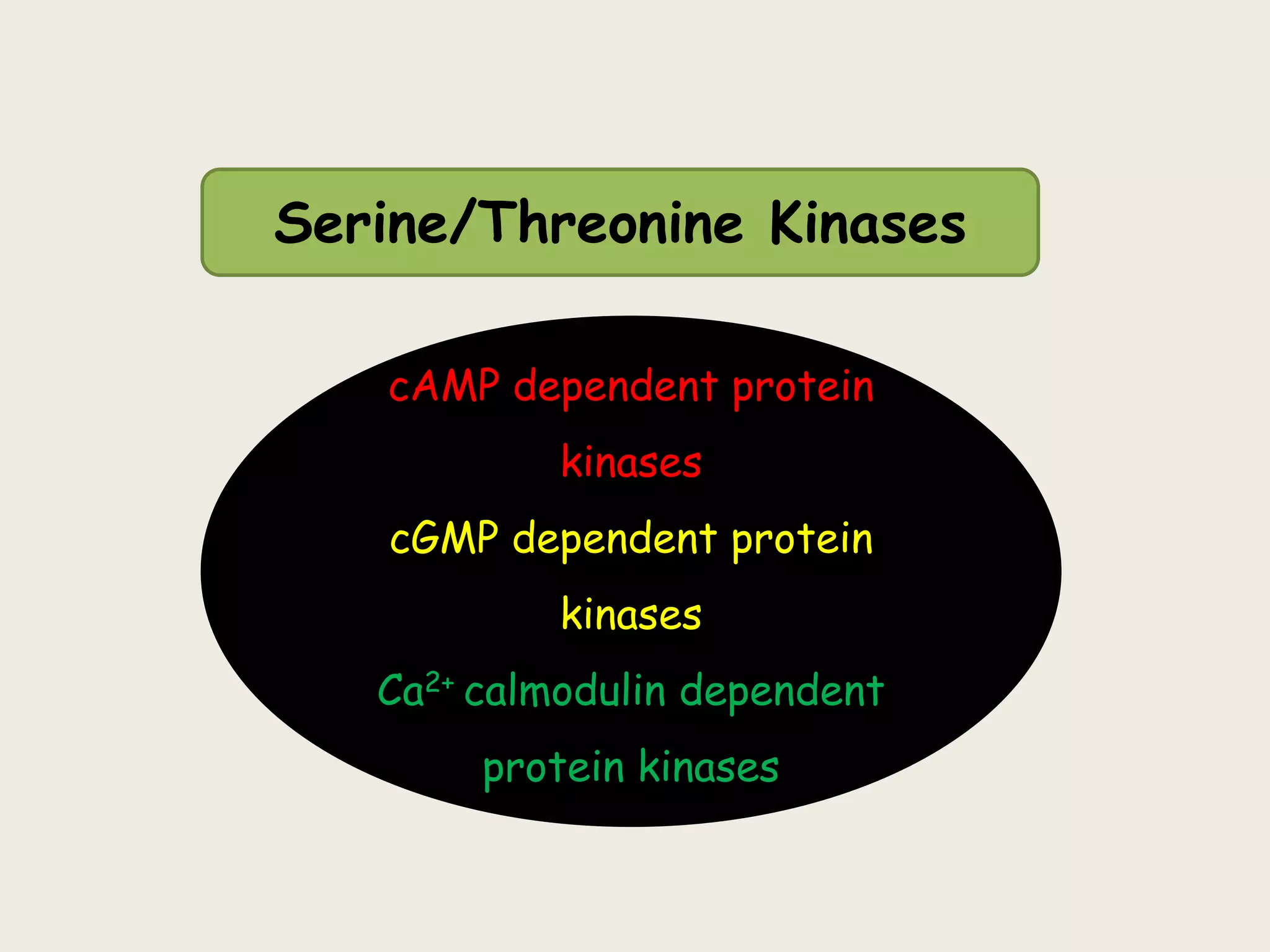 Protein phosphorylation, kinases and phosphatases | PPTX