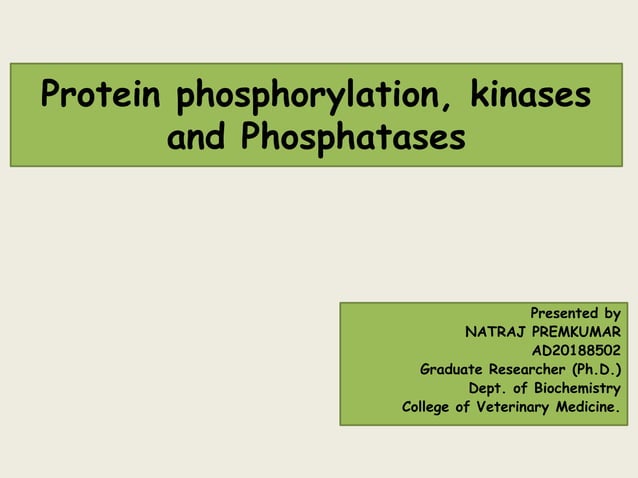 Protein phosphorylation, kinases and phosphatases | PPTX | Endocrine and Metabolic Diseases ...