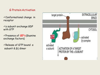 Protein phosphorylation, kinases and phosphatases | PPTX