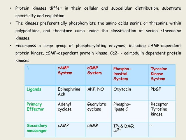 Protein phosphorylation, kinases and phosphatases | PPTX | Endocrine and Metabolic Diseases ...