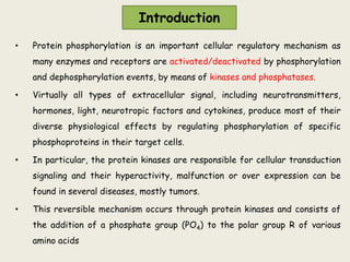Protein phosphorylation, kinases and phosphatases | PPTX