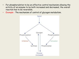 Protein phosphorylation, kinases and phosphatases | PPTX