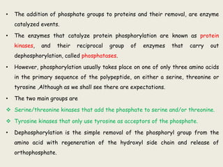 Protein phosphorylation, kinases and phosphatases | PPTX