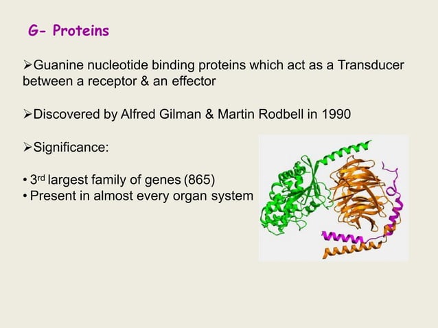 Protein phosphorylation, kinases and phosphatases | PPTX | Endocrine and Metabolic Diseases ...