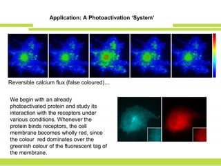 Protein photoactivation | PPTX | Chemistry | Science