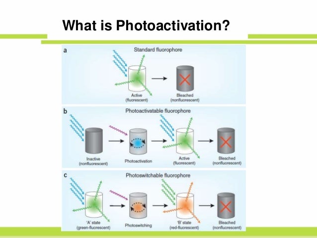 Protein photoactivation
