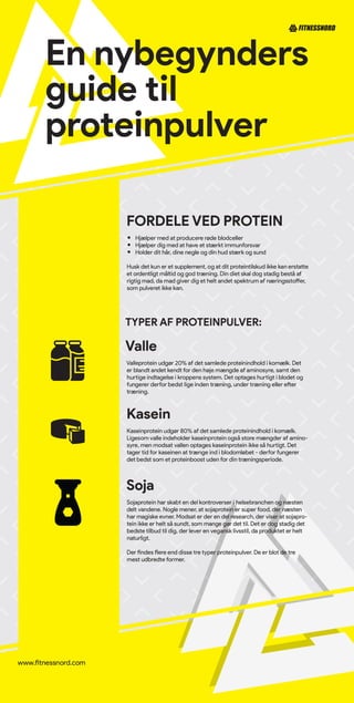 Protein powder infographic | PDF