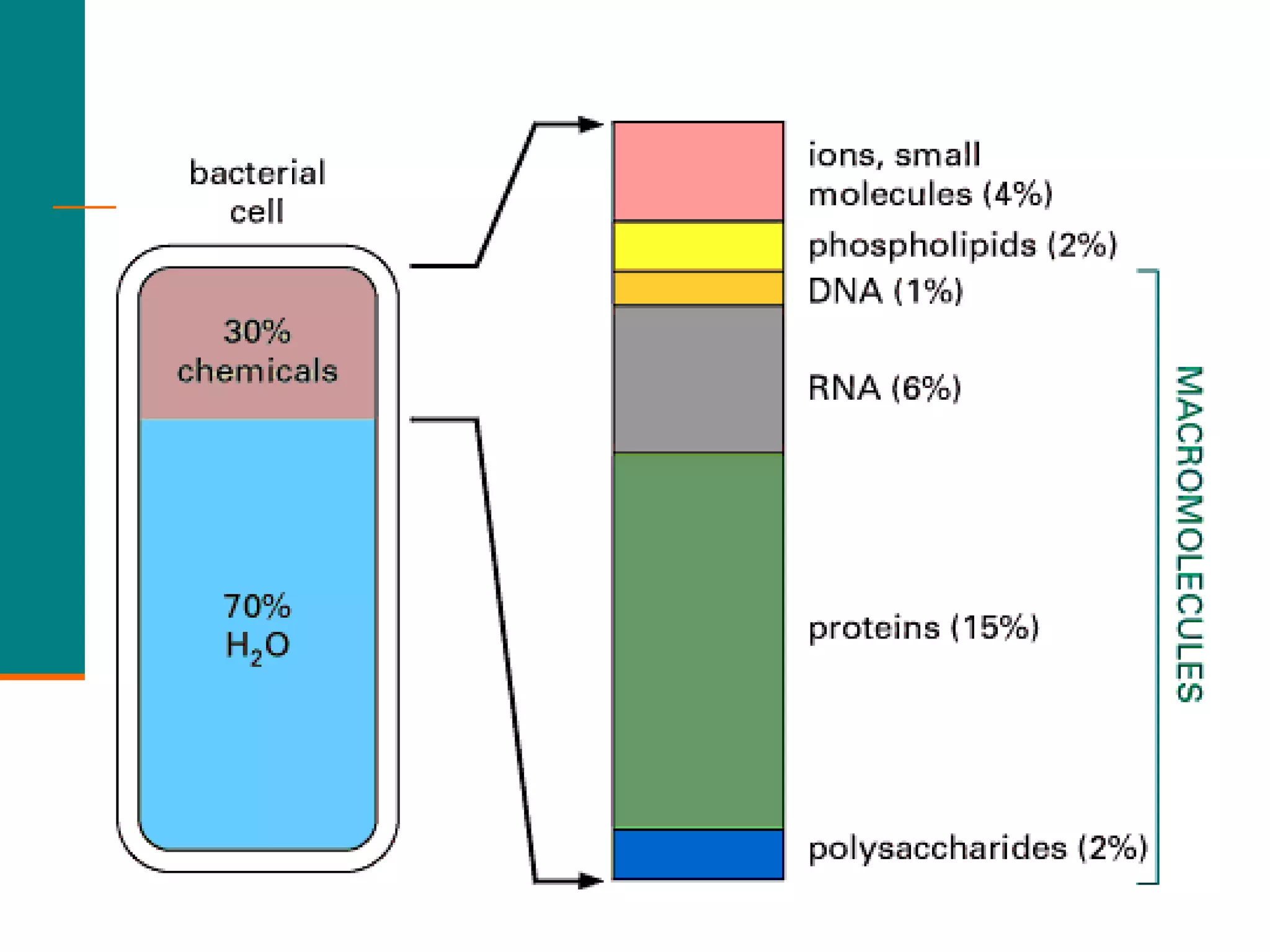 AMINO ACIDS AND PROTEINS, DENATURATION OF PROTEINS | PPTX