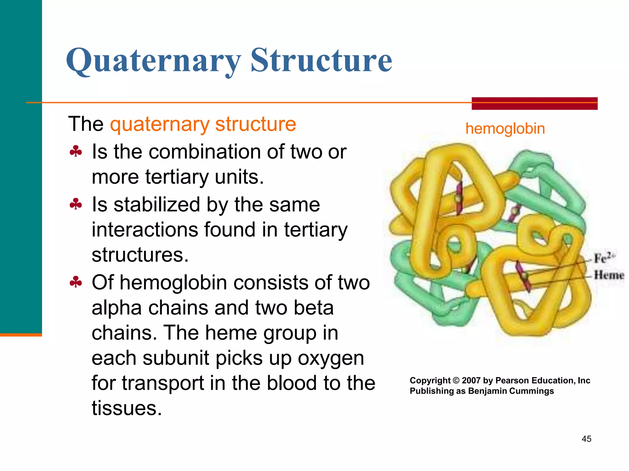 AMINO ACIDS AND PROTEINS, DENATURATION OF PROTEINS | PPTX