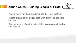 Protein PPT.pptx