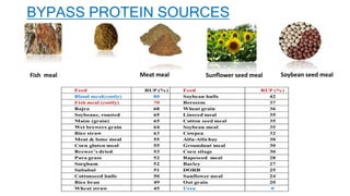 protein ppt skjdabhjKNCBHDJKIANJMSXBJHDB | PPTX