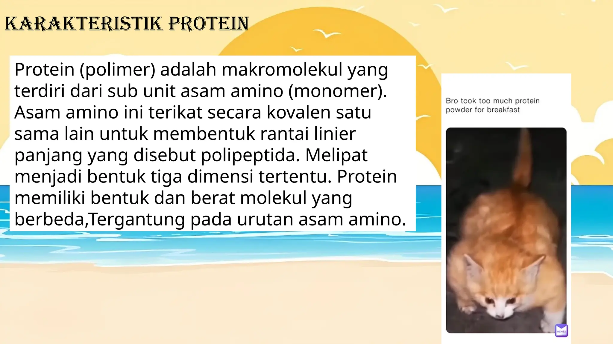 penjelasan protein farmasi PROTEIN ppt.pptx