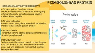 penjelasan protein farmasi PROTEIN ppt.pptx