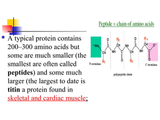 protein in food and drug industry ppt.ppt