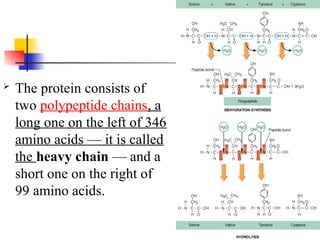 protein in food and drug industry ppt.ppt