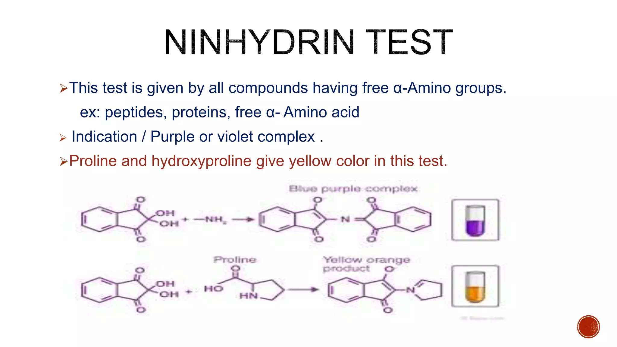 Test for Protein practical | PPTX