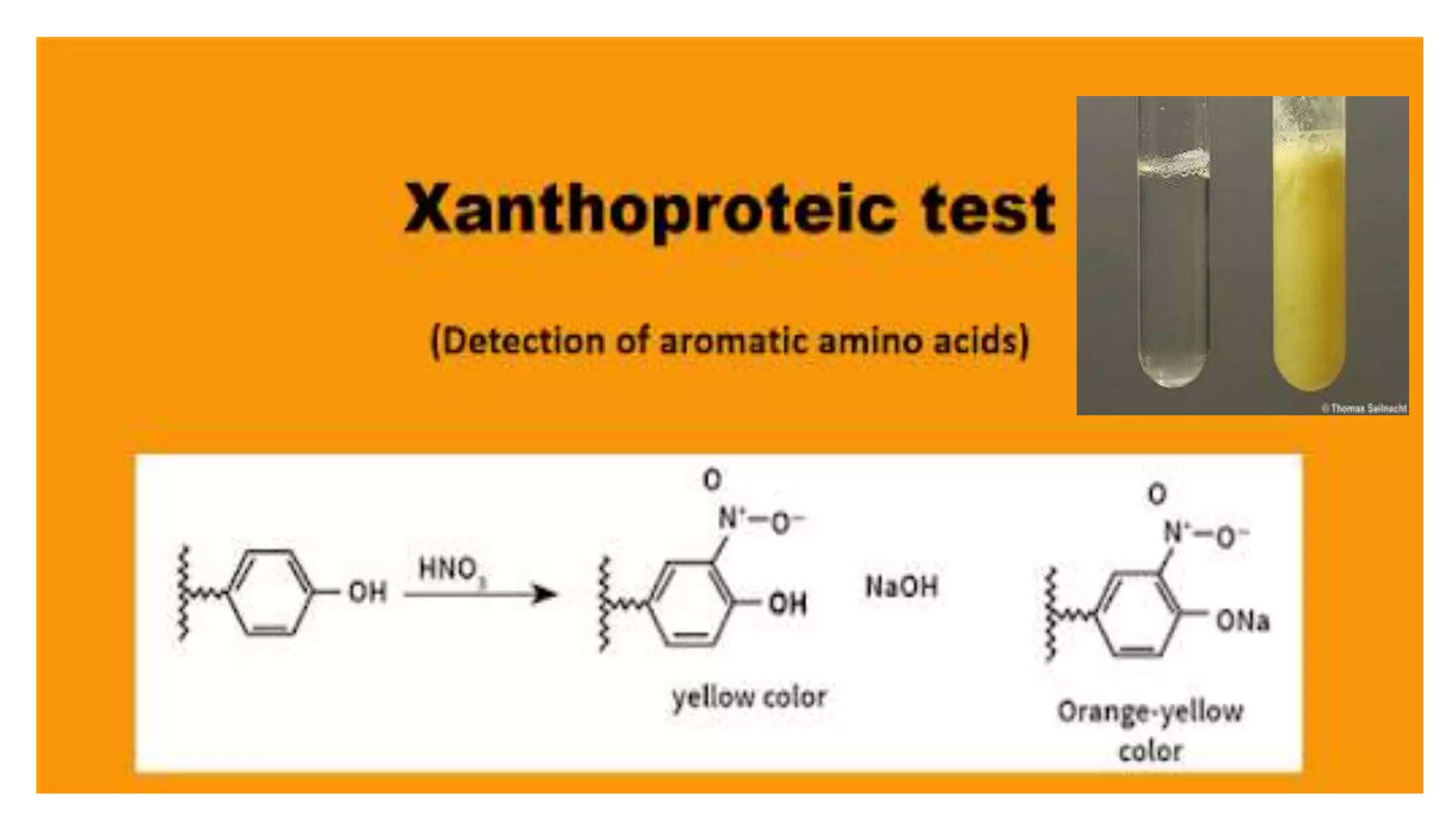 Test for Protein practical | PPTX